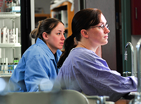 Powered by D2L Brightspace